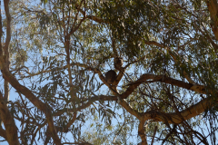 Ministry Galleries | Preca Community